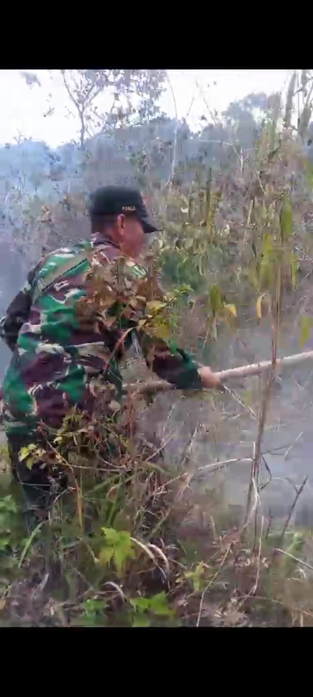 3,5 Ha Kawasan Hutan TNGR Terbakar, Pemadaman Mengandalkan, Baju Loreng ...